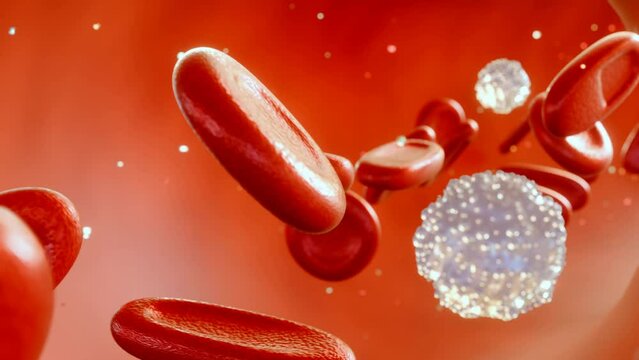 Ovalocytes Images – Browse 121 Stock Photos, Vectors, and Video | Adobe ...