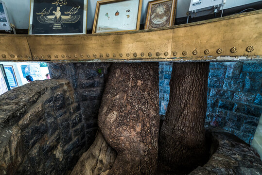 Agyari Bilder – Durchsuchen 1,122 Archivfotos, Vektorgrafiken und ...