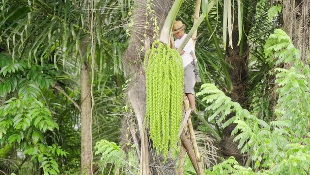 Tapper 이미지 – 찾아보기 1,198 스톡 사진, 벡터 및 비디오 | Adobe Stock