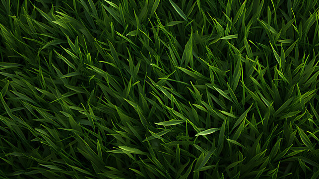 "Seamless Texture" Images – Parcourir 90,867 le catalogue de photos ...