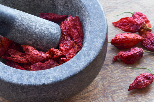 Bhut Images – Browse 1,096 Stock Photos, Vectors, and Video | Adobe Stock
