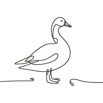 Goose Line Drawing Images – Browse 14,587 Stock Photos, Vectors, and ...