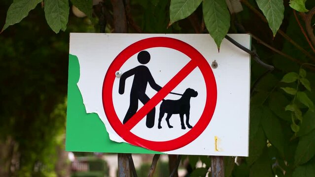 "No Dogs" Images – Browse 862 Stock Photos, Vectors, and Video | Adobe ...