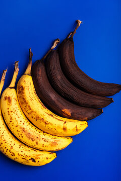 "Rotten Banana" Images – Browse 198 Stock Photos, Vectors, and Video ...