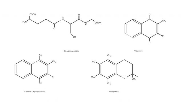 Hydroquinone Images – Browse 367 Stock Photos, Vectors, and Video ...