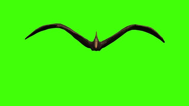 "Green Screen Video" Images – Browse 1,644 Stock Photos, Vectors, and ...