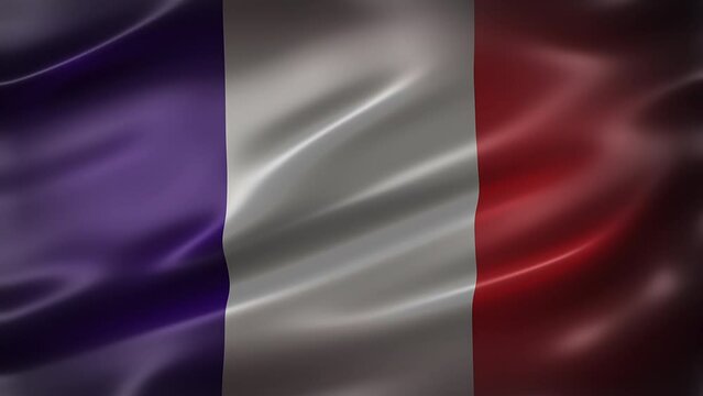 "Drapeau Français" Images – Browse 979 Stock Photos, Vectors, and Video ...