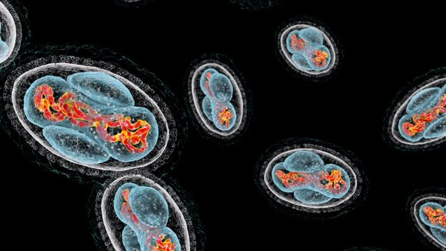 Poxvirus Imagens – Procure 3,214 fotos, vetores e vídeos | Adobe Stock