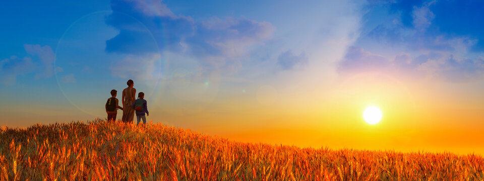 "Golden Fields" Images – Browse 2,792 Stock Photos, Vectors, and Video ...