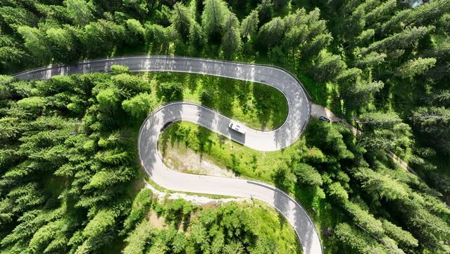 Snake Top View Images – Browse 7,458 Stock Photos, Vectors, and Video ...
