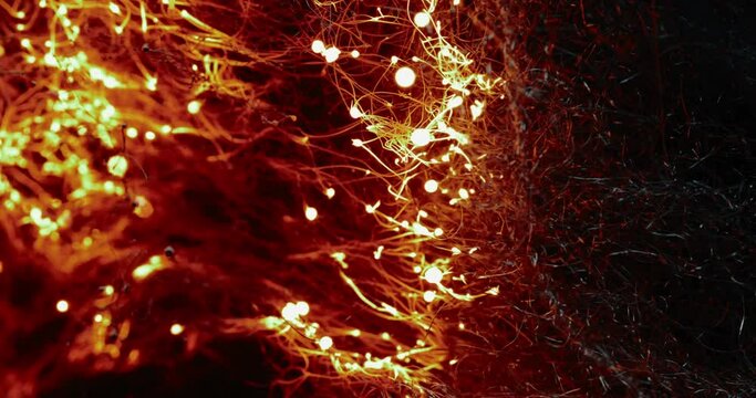 "Fire Trails"-Bilder: Stock-Fotos & -Videos. | Adobe Stock