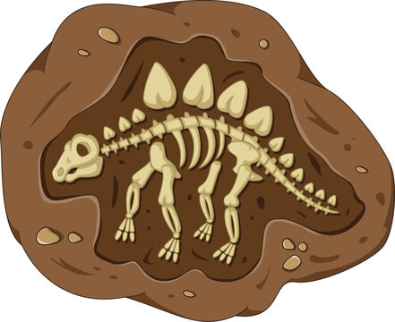 Cartoon Fossils Underground Images – Browse 1,324 Stock Photos, Vectors ...