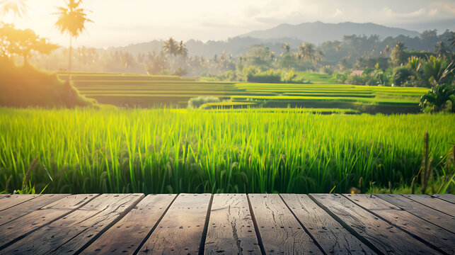 Tabletop Rice Field Backdrop Images – Browse 390 Stock Photos, Vectors ...