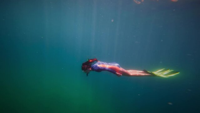 Finswimming Images – Parcourir 897 le catalogue de photos, vecteurs et ...