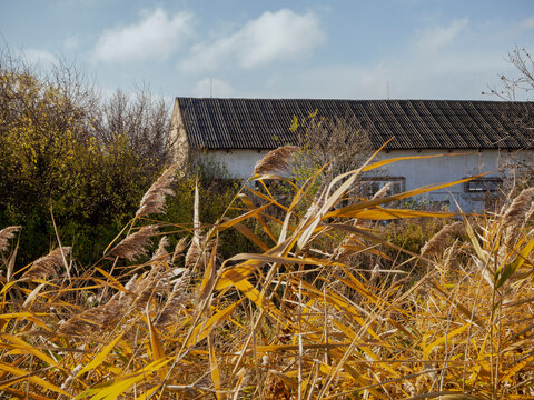 Willage-Bilder: Stock-Fotos & -Videos. | Adobe Stock