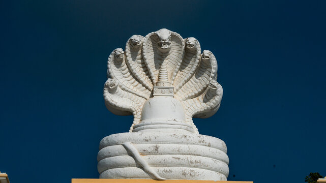 Seven-Headed Images – Browse 100 Stock Photos, Vectors, and Video ...