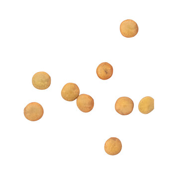 "Minapa Pappu"-Bilder: Stock-Fotos & -Videos. | Adobe Stock