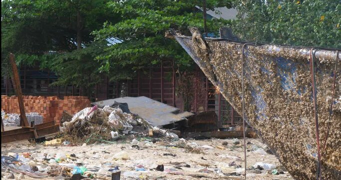 Barnicle Images – Browse 18,219 Stock Photos, Vectors, and Video ...