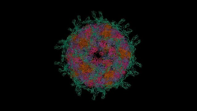 รูปภาพEchovirus – เลือกดูภาพถ่ายสต็อก เวกเตอร์ และวิดีโอ111 | Adobe Stock