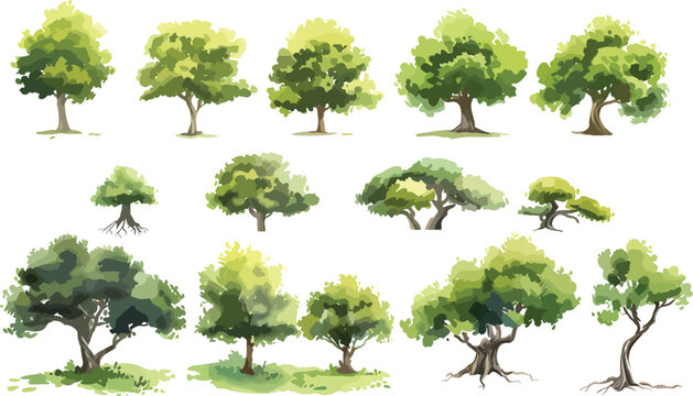 "Watercolor Tree" Images – Browse 2,224 Stock Photos, Vectors, and ...