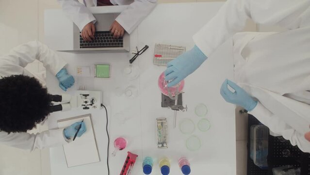 Lab Table Top View Images – Browse 5,279 Stock Photos, Vectors, and ...