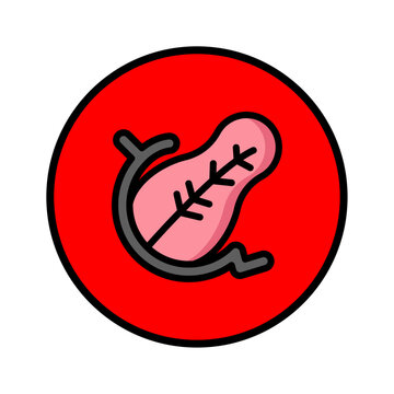 "Pancreas Icon" Images – Browse 39 Stock Photos, Vectors, and Video ...