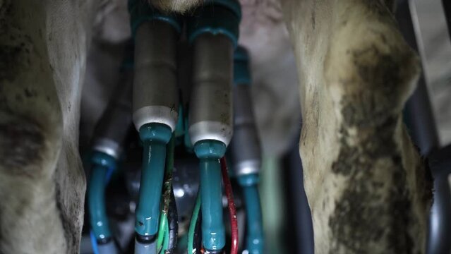 "Milking System"-Bilder: Stock-Fotos & -Videos. | Adobe Stock