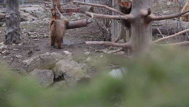 Dzu-Teh Bilder – Durchsuchen 1,609 Archivfotos, Vektorgrafiken und ...