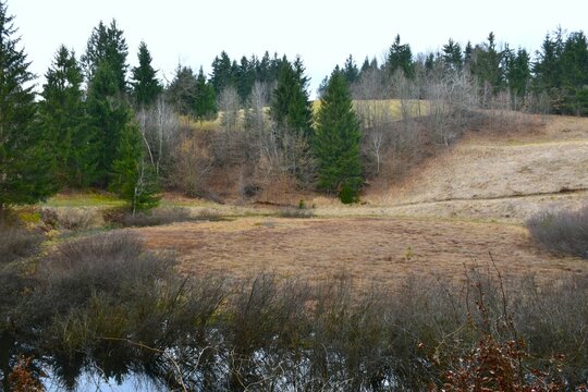 "Raised Bog" Images – Browse 1,778 Stock Photos, Vectors, and Video ...