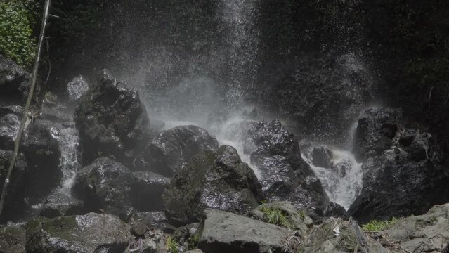 Uncorrupted Images – Browse 57,346 Stock Photos, Vectors, and Video ...