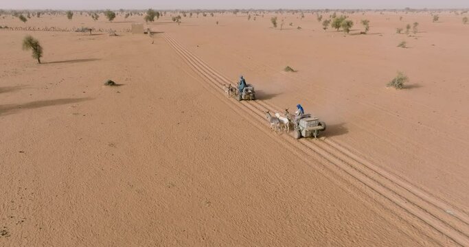 "Donkey Cart" - Images et vidéos libres de droits | Adobe Stock