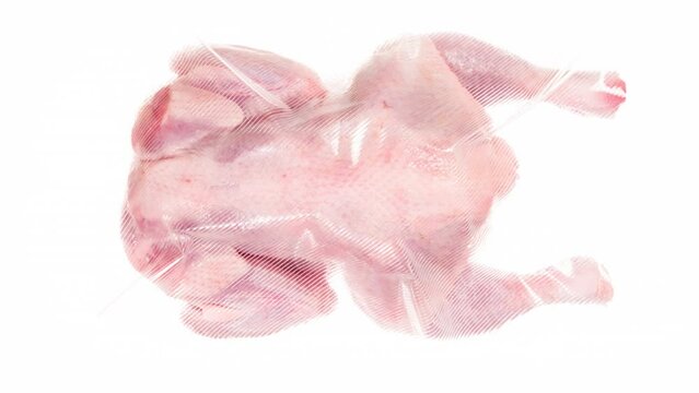 Chicken Carcass Images – Browse 29,661 Stock Photos, Vectors, and Video ...