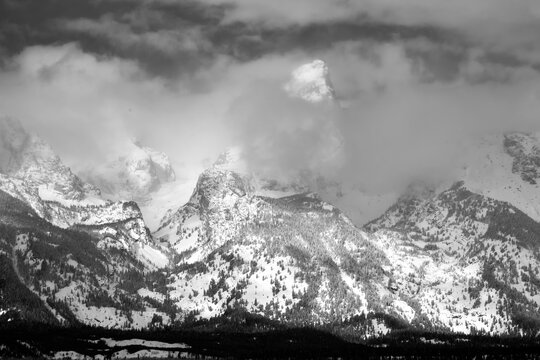 Tom photos, images, assets | Adobe Stock