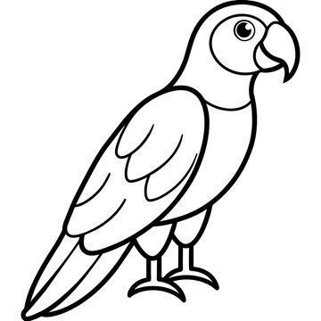 "Parrot Silhouette" - Images et vidéos libres de droits | Adobe Stock