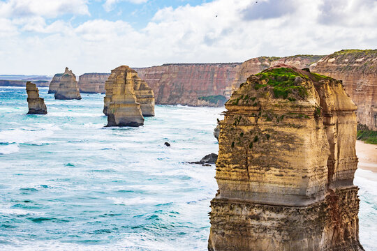 "Coastal Vegetation" Images – Browse 1,324 Stock Photos, Vectors, and ...