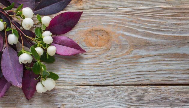 Ghostberry Bilder – Durchsuchen 6,365 Archivfotos, Vektorgrafiken und ...