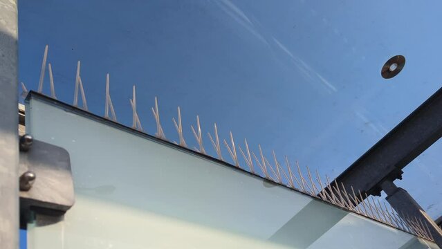 "Bird Spikes" Images – Browse 240 Stock Photos, Vectors, and Video ...