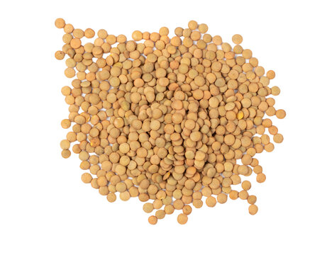 "Minapa Pappu"-Bilder: Stock-Fotos & -Videos. | Adobe Stock