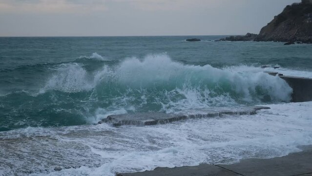 Grumbling Images – Browse 21,244 Stock Photos, Vectors, and Video ...