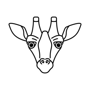 "Giraffe Face" Images – Browse 626 Stock Photos, Vectors, and Video ...