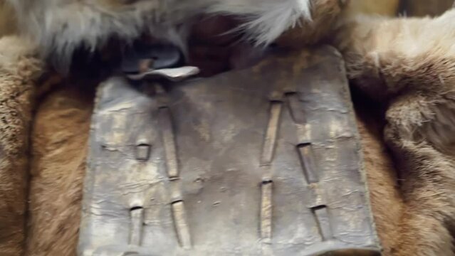 "Primitive Man" Images – Browse 590 Stock Photos, Vectors, and Video ...