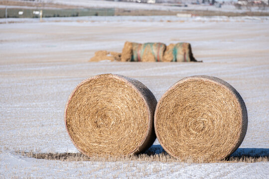 "Bale Of Hay" Images – Browse 1,382 Stock Photos, Vectors, and Video ...