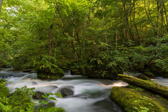 "Rapid Stream" Bilder – Durchsuchen 279 Archivfotos, Vektorgrafiken und ...