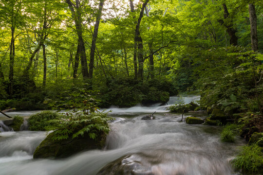 "Rapid Stream" Bilder – Durchsuchen 279 Archivfotos, Vektorgrafiken und ...