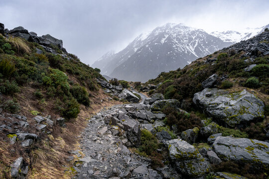 "Point Lookout" Images – Browse 1,282 Stock Photos, Vectors, and Video ...