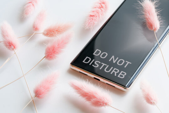 "Do Not Disturb"-Bilder: Stock-Fotos & -Videos. | Adobe Stock