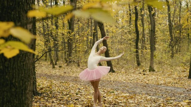 Tutu Images – Browse 95,883 Stock Photos, Vectors, and Video | Adobe Stock