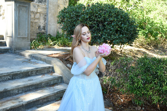 faestock photos, images, assets | Adobe Stock