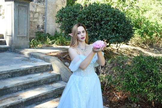 faestock photos, images, assets | Adobe Stock