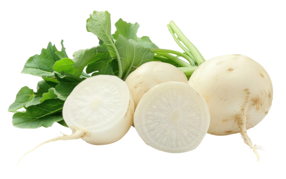 Large Language Model PNGs – Transparent Background Images | PikWizard